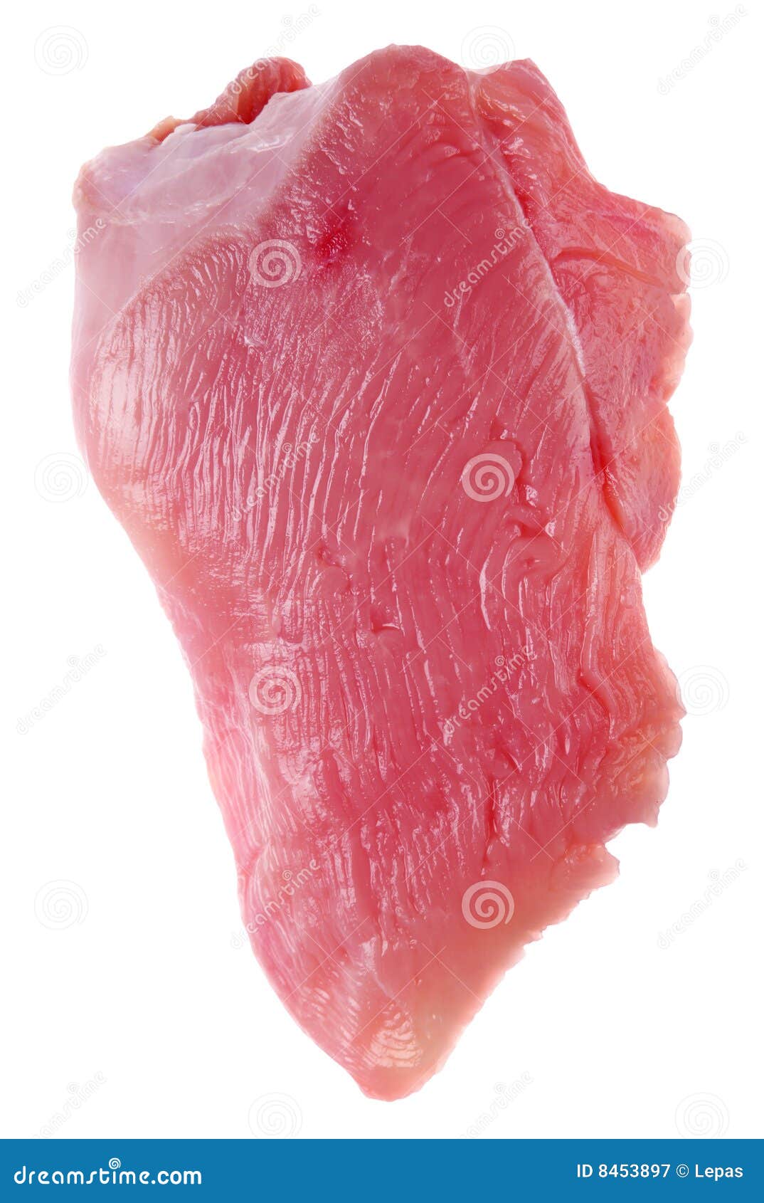 Turkey fillet stock image. Image of white, poultry, food - 8453897