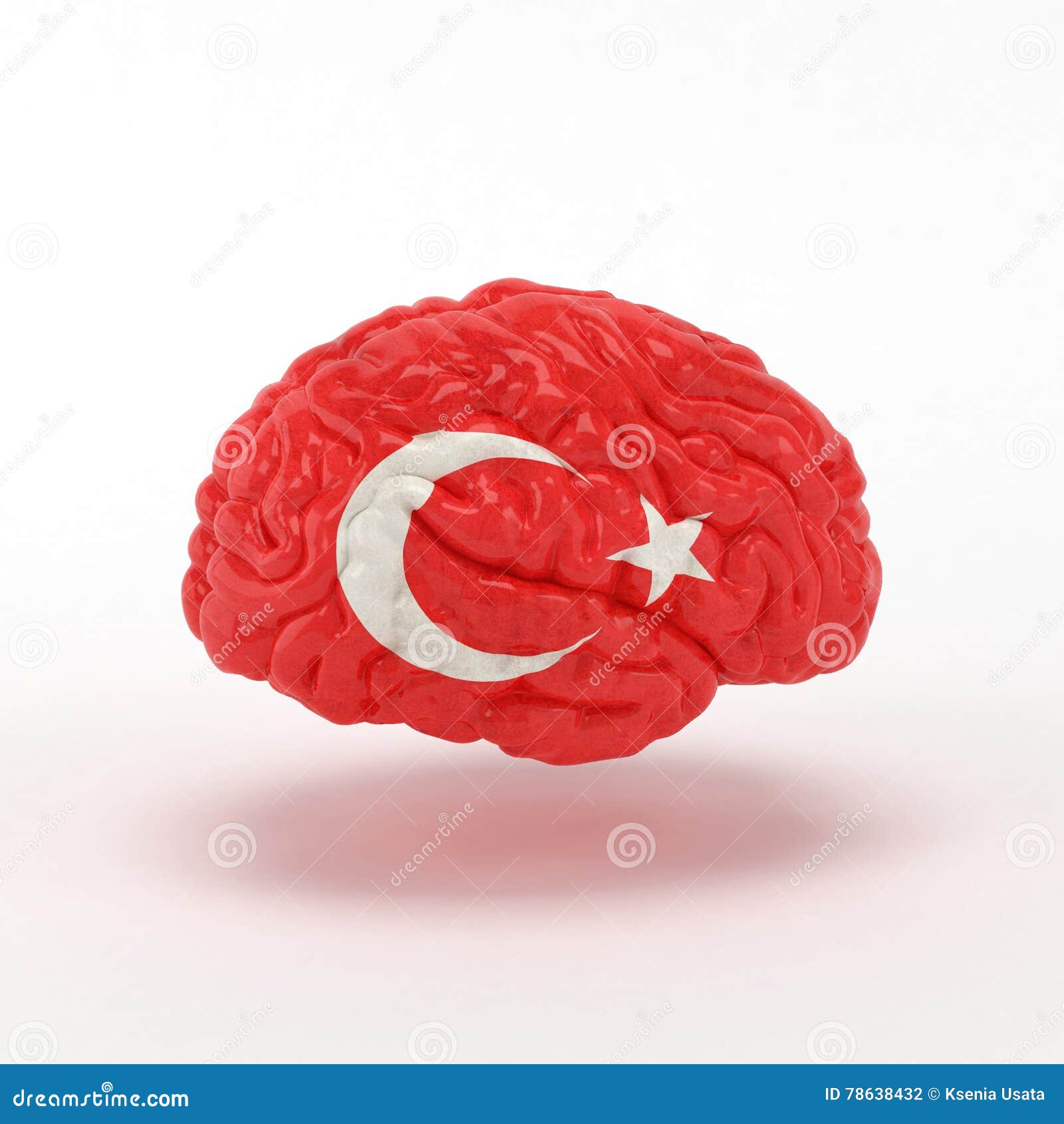 Turkey Flag on Human Brain. Stock Illustration - Illustration of ...