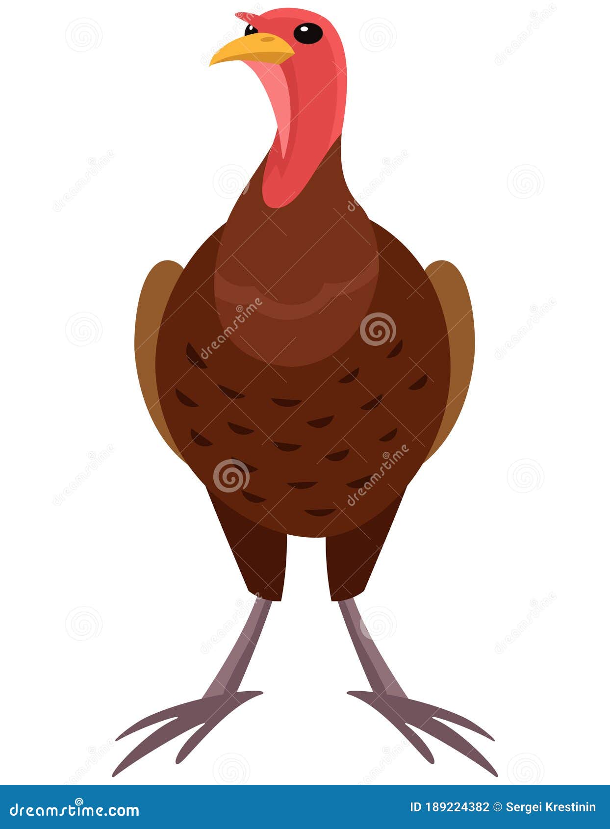 Turkey front view. stock vector. Illustration of pose - 189224382