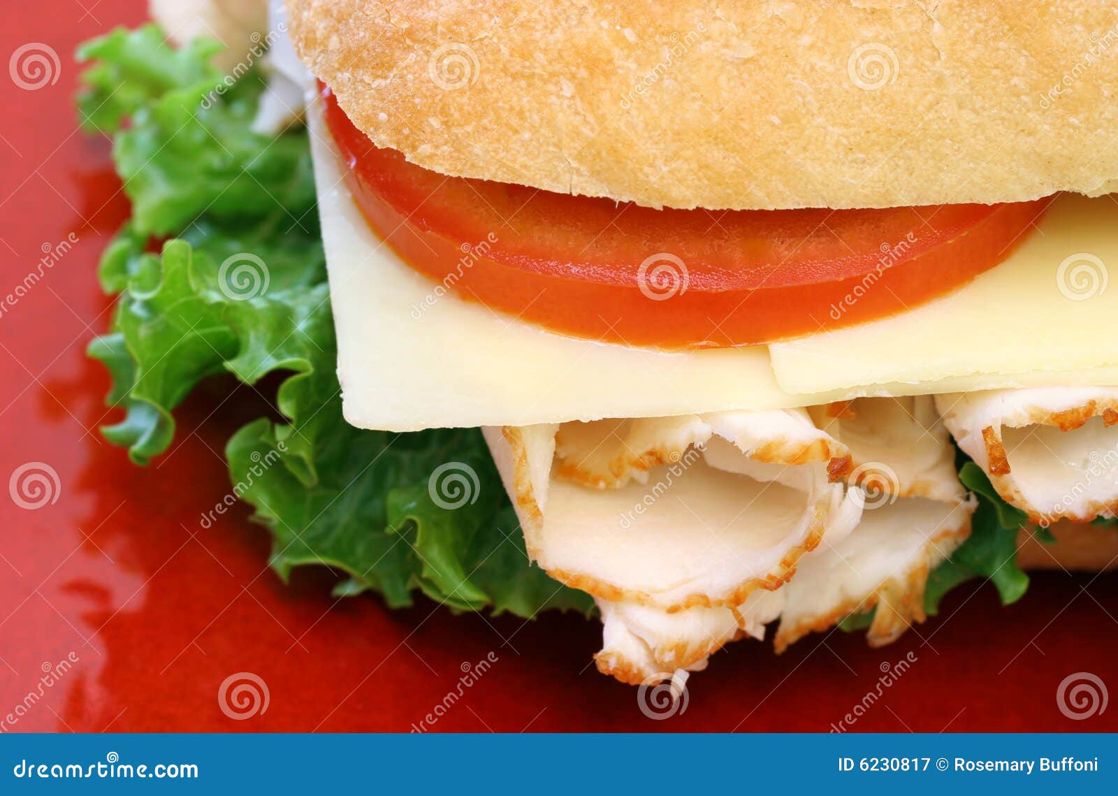 Turkey Hero Sandwich stock image. Image of ripe, poultry - 6230817