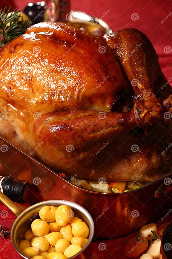 Turkey hotel stock photo. Image of hotel, roast, isolated - 7065924