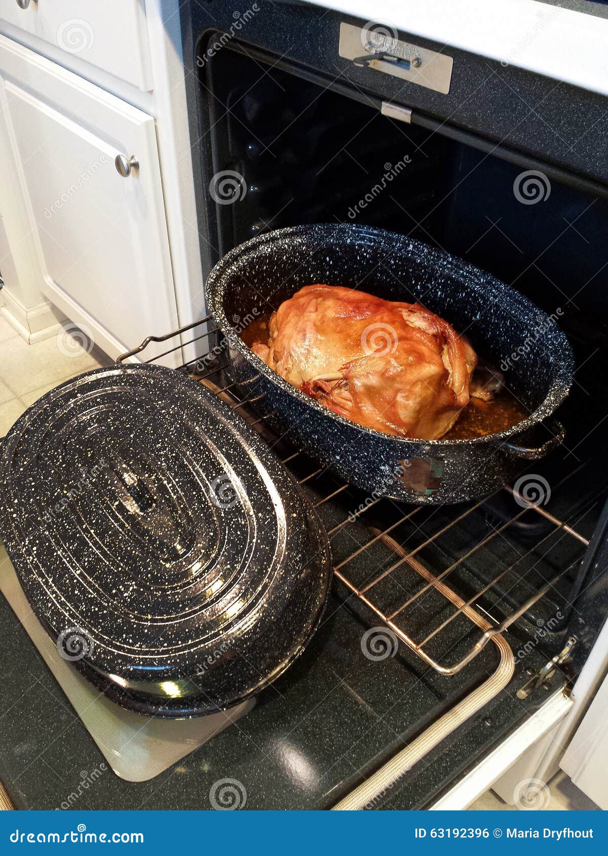 Turkey in old roasting pan stock photo. Image of meat - 63192396