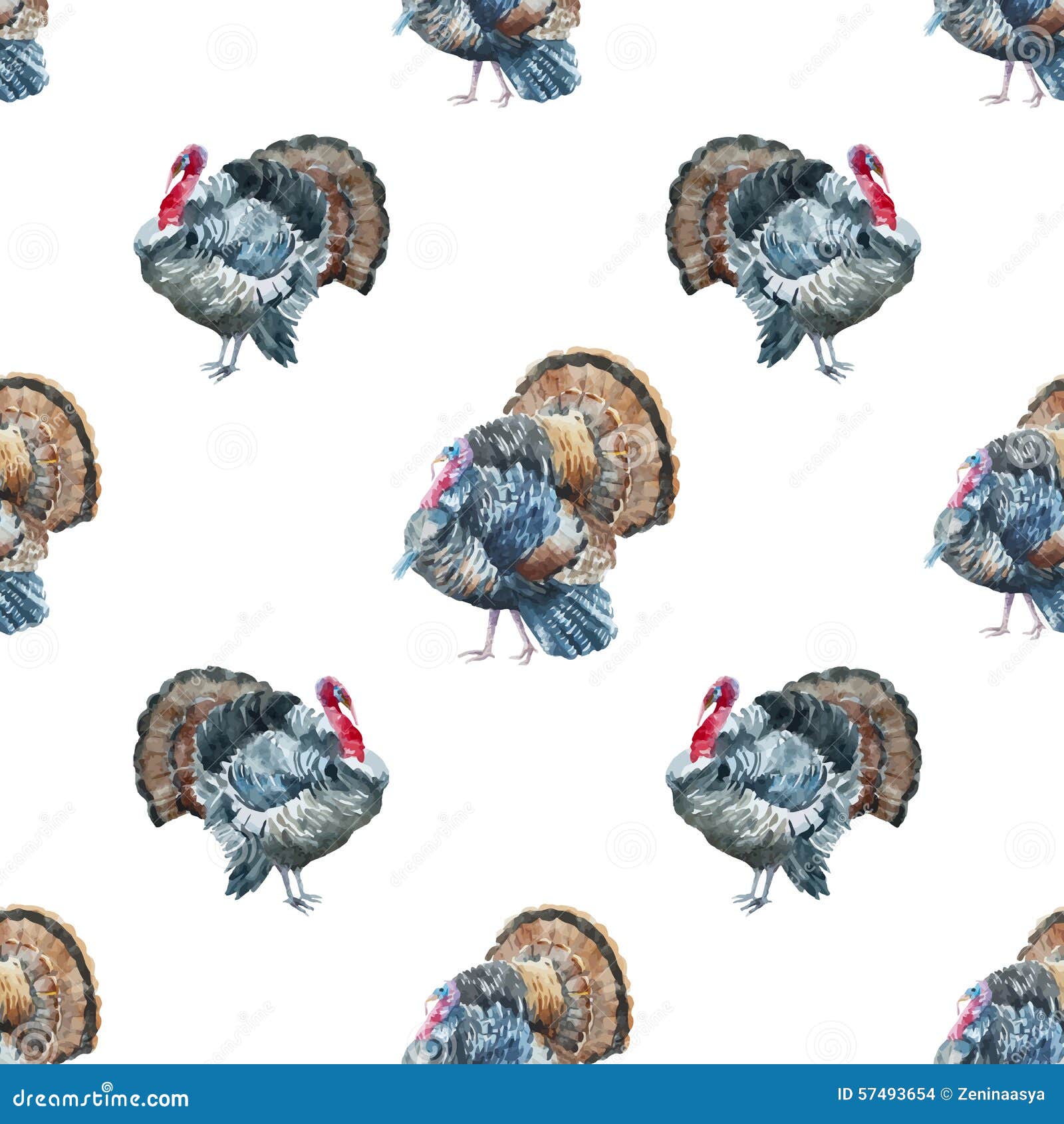 Turkey pattern stock vector. Illustration of animal, healthy - 57493654