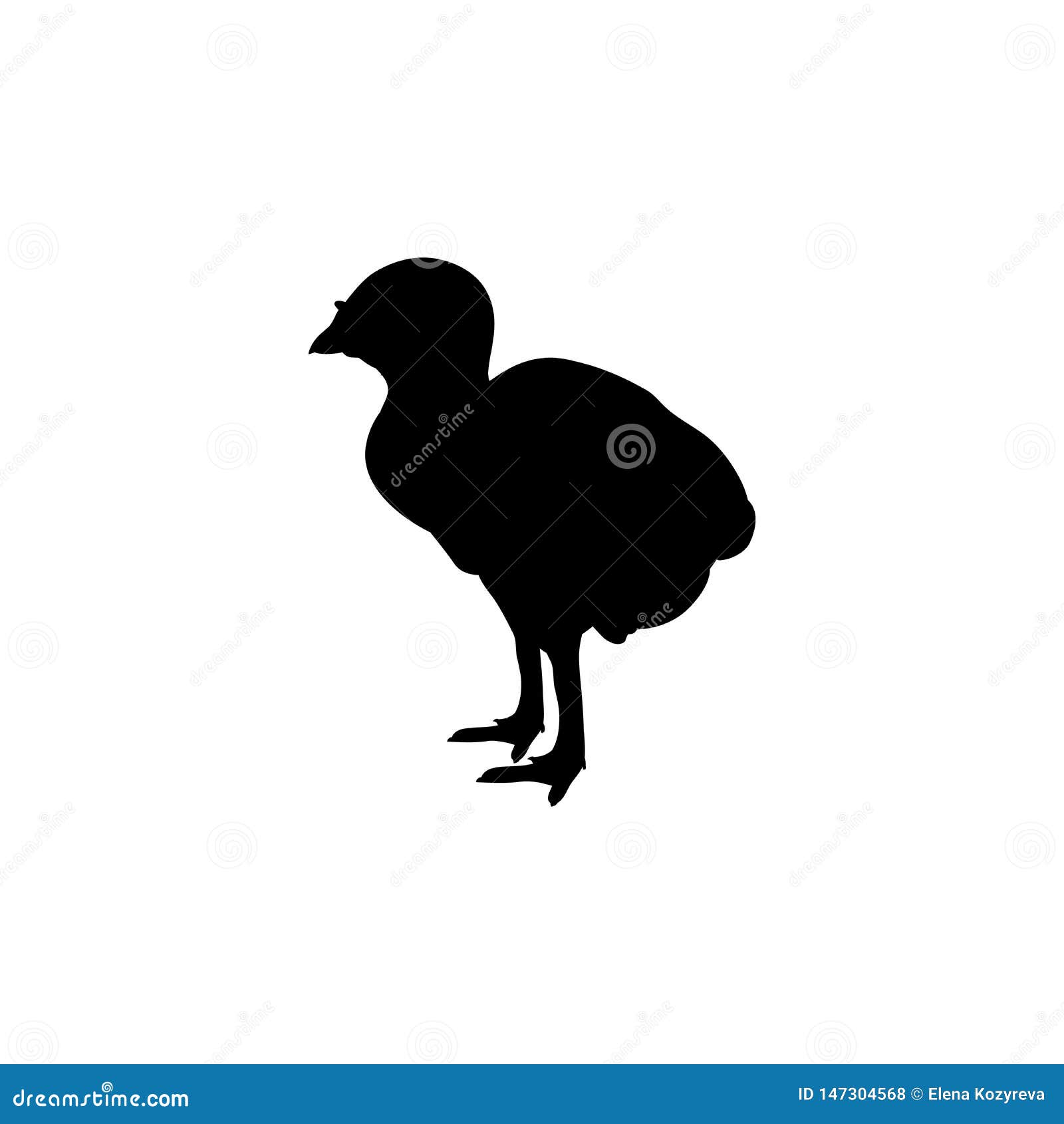 Turkey Poult Bird Black Silhouette Animal. Stock Vector - Illustration ...