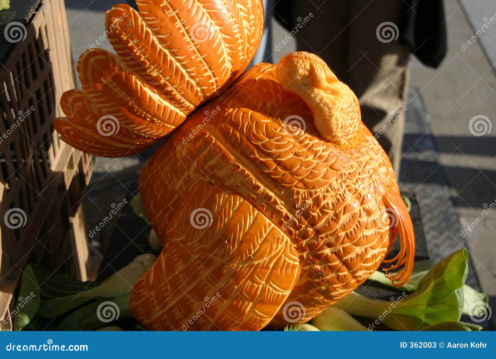 Turkey Pumpkin stock image. Image of fall, turkey, table - 362003