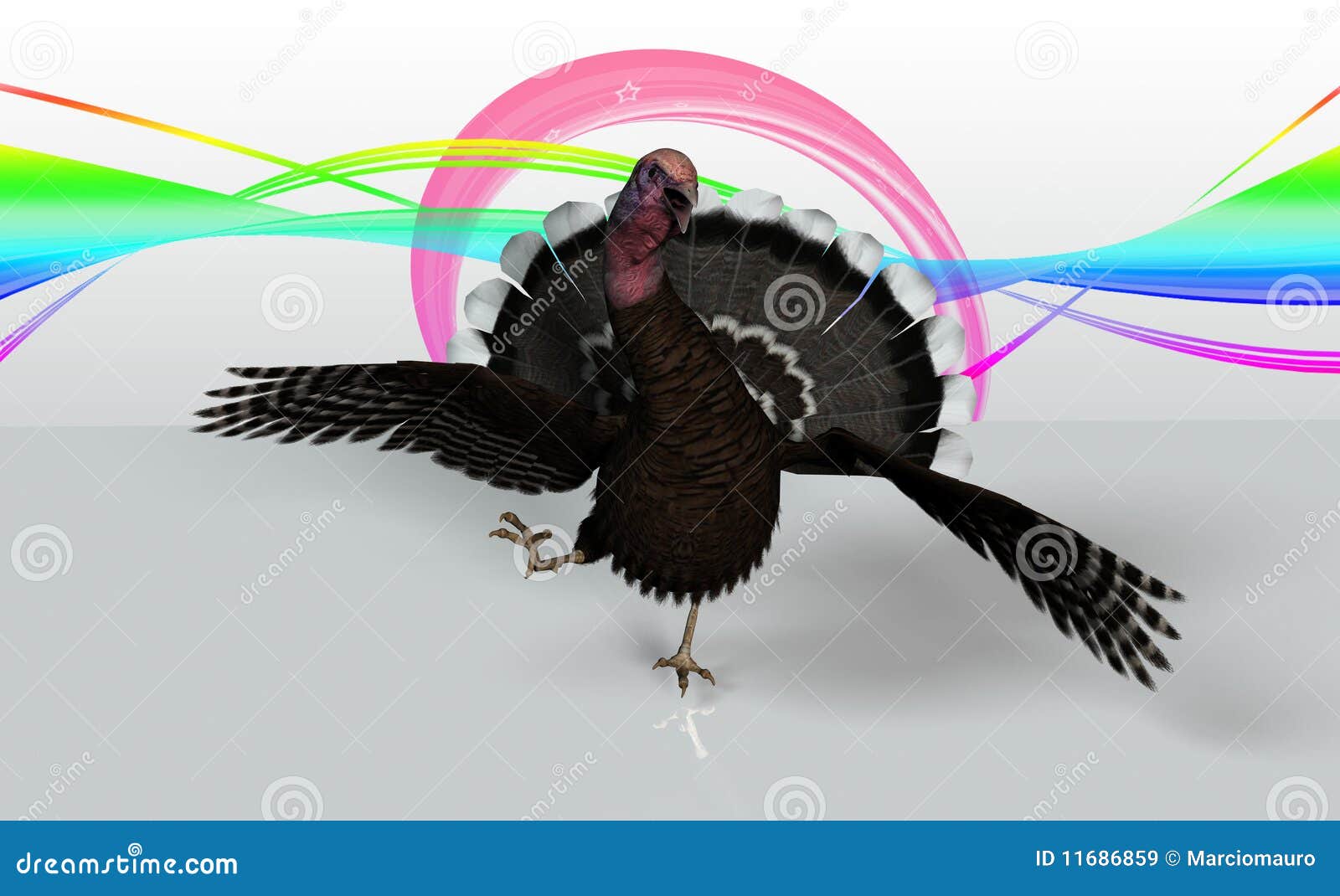 Turkey running stock illustration. Illustration of fool - 11686859