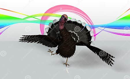Turkey running stock illustration. Illustration of fool - 11686859