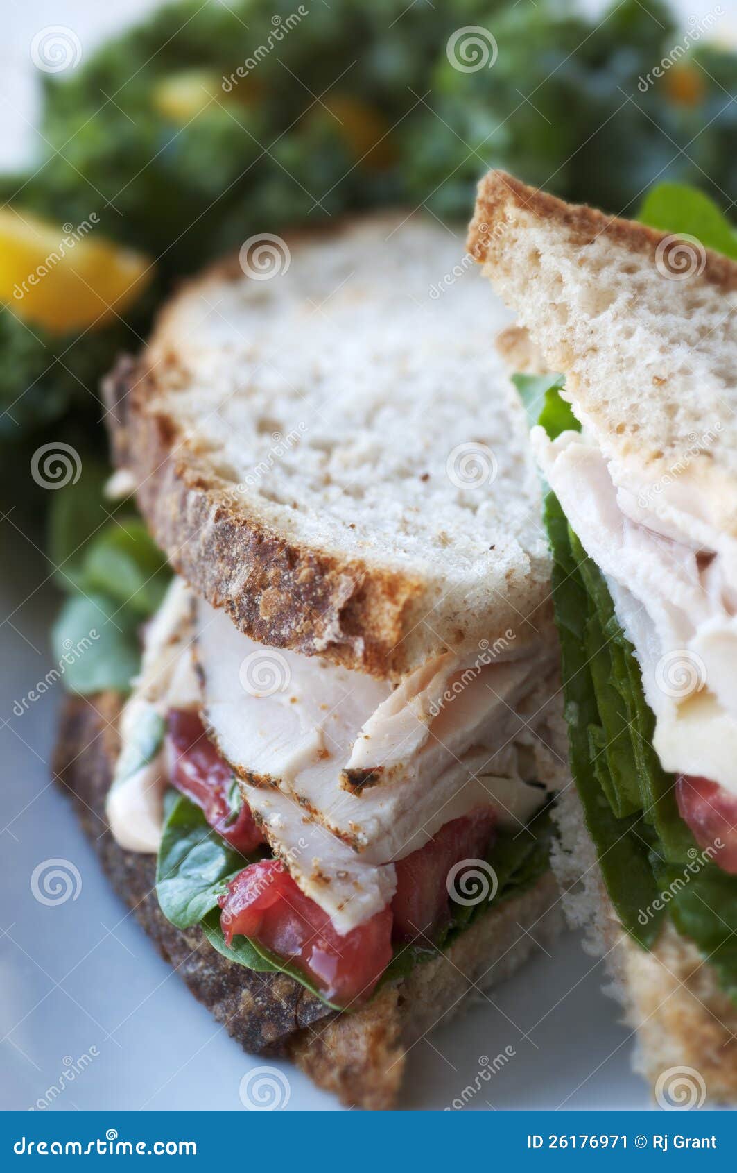 Turkey Sandwich stock image. Image of fresh, delicious - 26176971