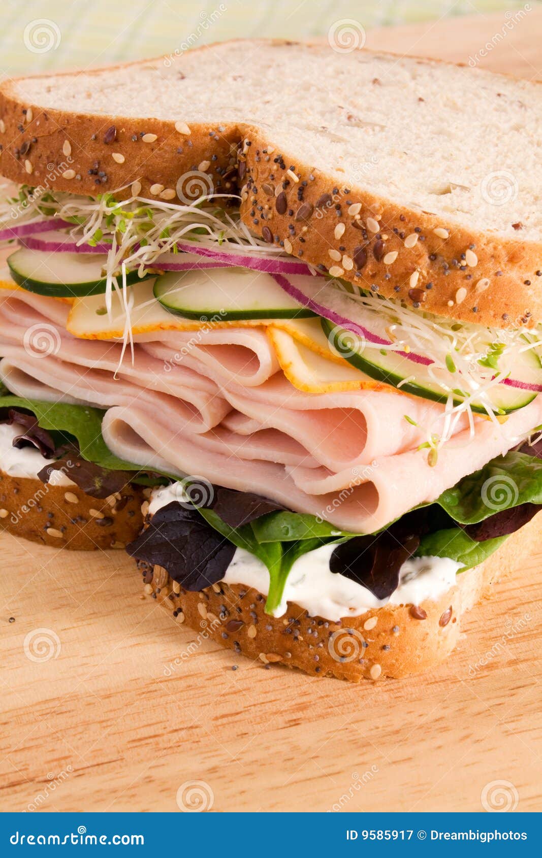 Turkey Sandwich stock image. Image of cold, lunch, lettuce - 9585917