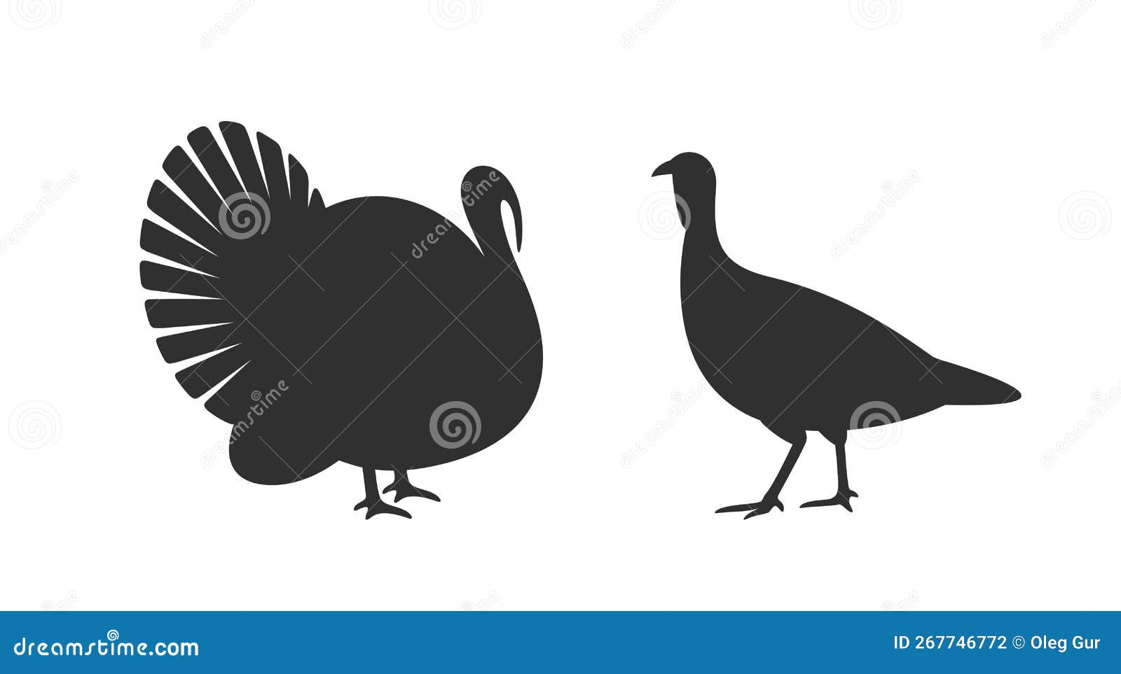 Turkey Silhouette. Isolated Turkey On White Background. Bird Vector ...