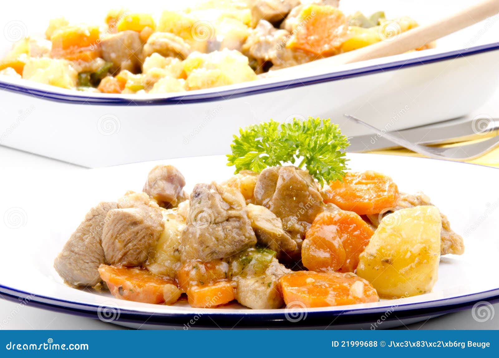 Turkey stew with potatoes stock photo. Image of plate - 21999688
