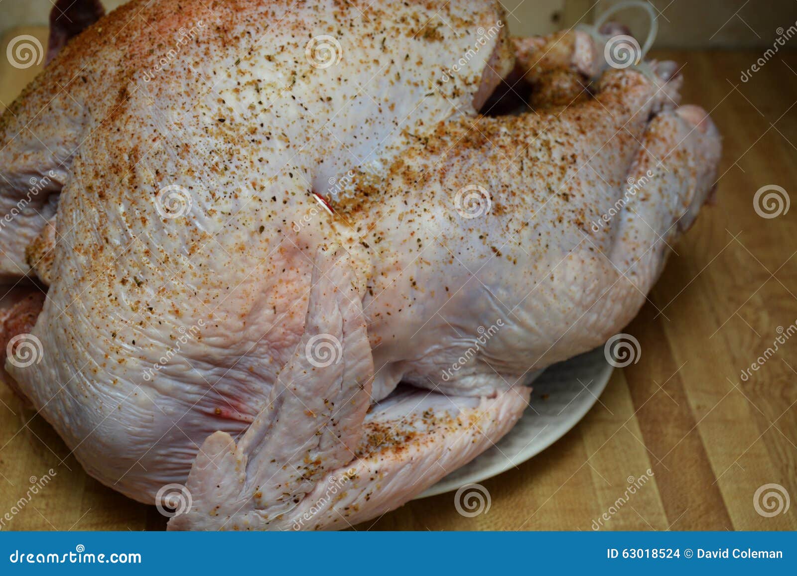 Turkey stock photo. Image of turkey, thanksgiving, cooking - 63018524