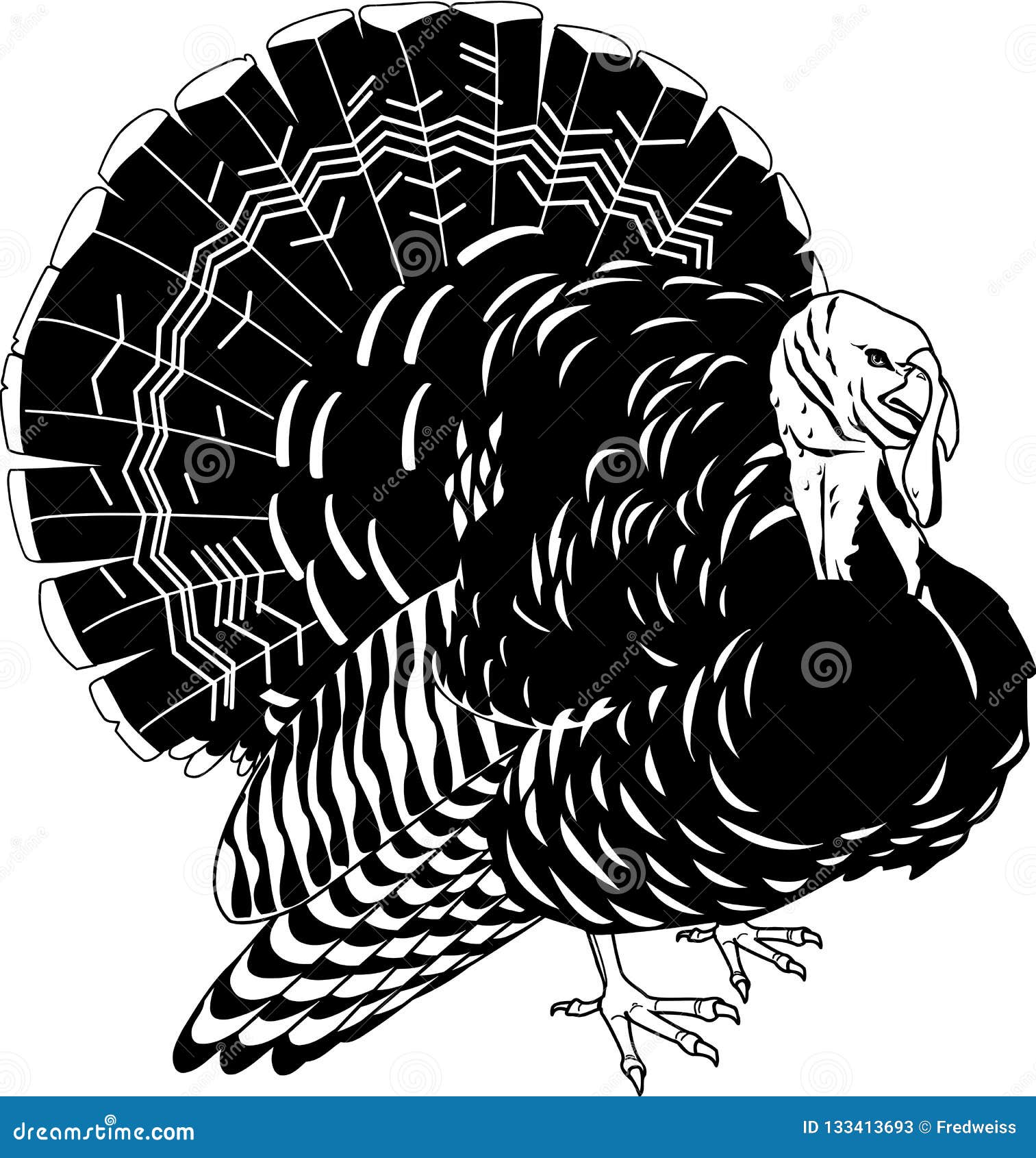 Turkey Vector Illustration stock vector. Illustration of nature - 133413693