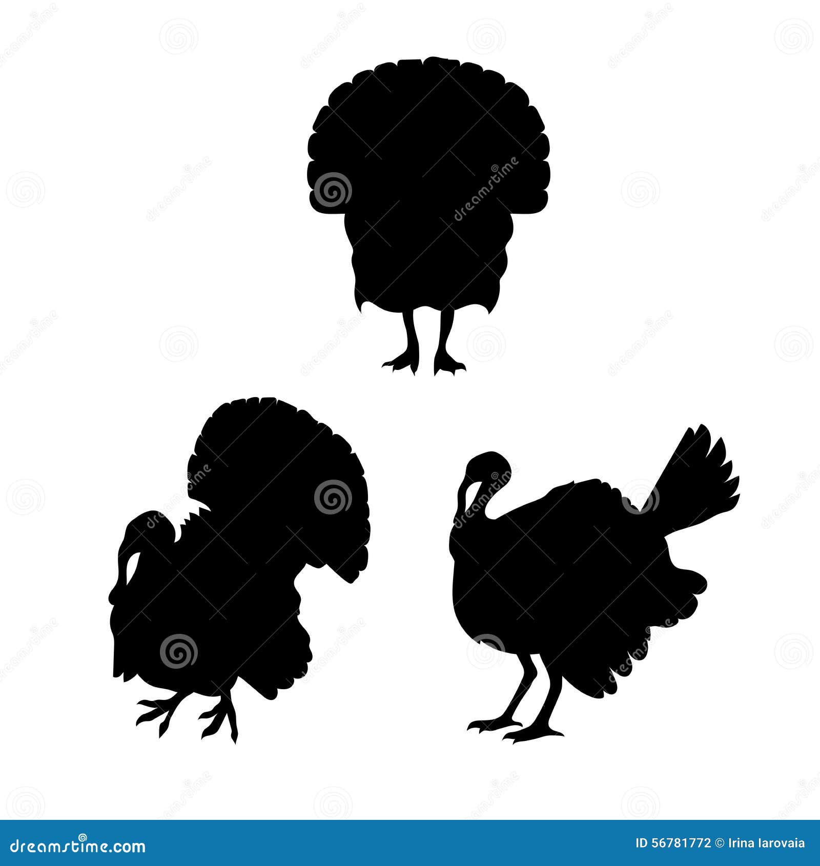 Vector Map Of Turkey With Regions And Geographical Divisions ...