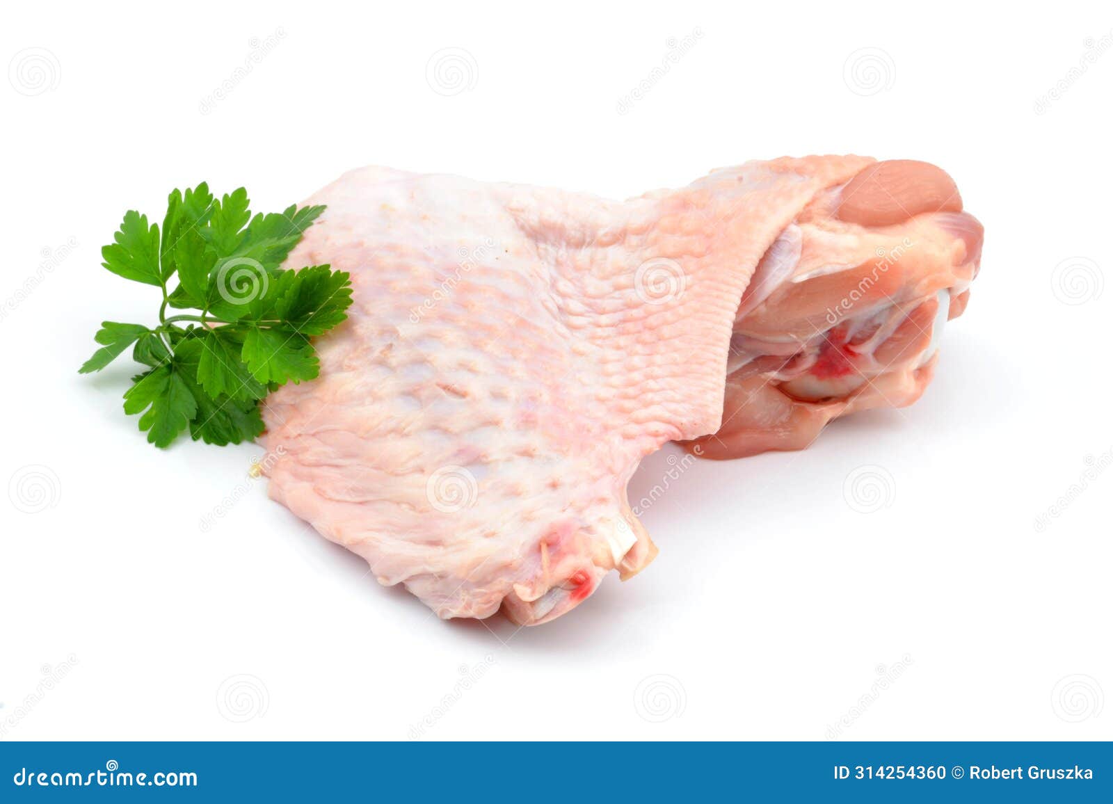 Turkey wing stock photo. Image of isolated, meat, white - 314254360