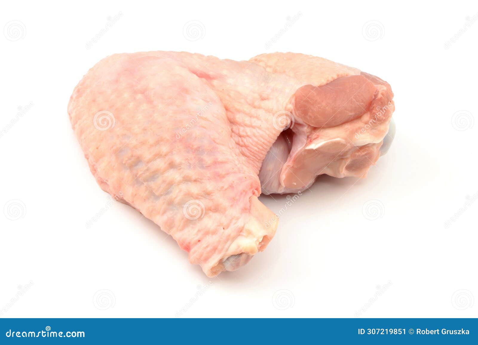 Turkey wing stock image. Image of wing, meat, poultry - 307219851