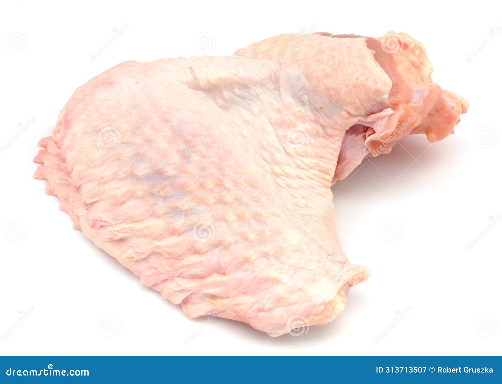 Turkey wing stock image. Image of wing, poultry, meat - 313713507