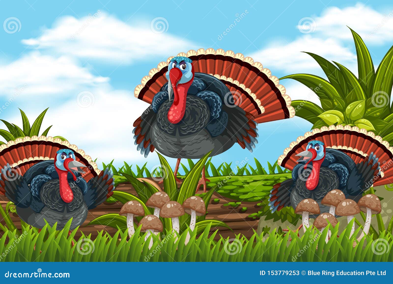 Turkeys in nature scene stock image. Image of leaf, tree - 153779253