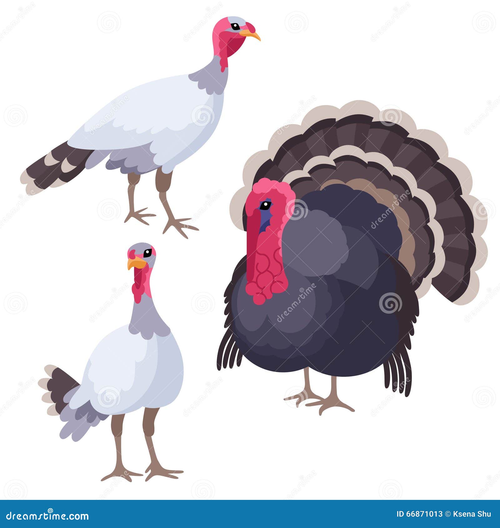 Animal Wild Turkeys Stock Illustrations – 104 Animal Wild Turkeys Stock ...