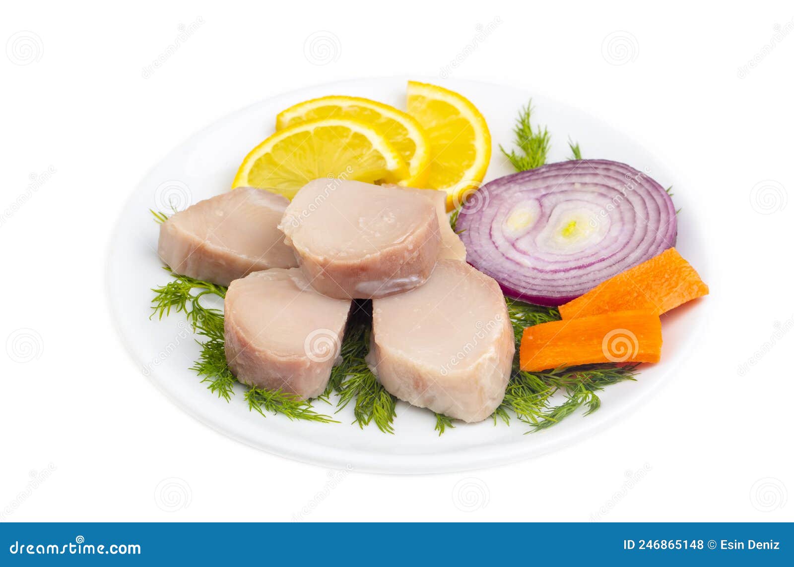 Turkish Appetizer Pickled Tunny Fish with Olive Oil Turkish Name ...