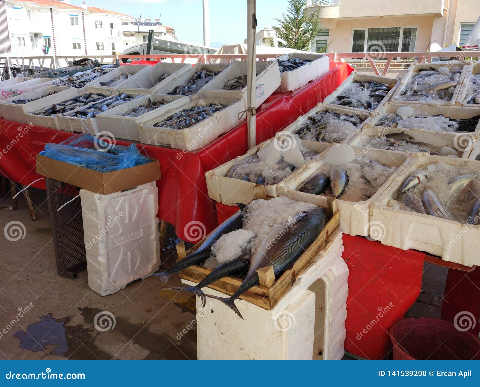 Turkish bazaar fish stand editorial image. Image of omega - 141539200