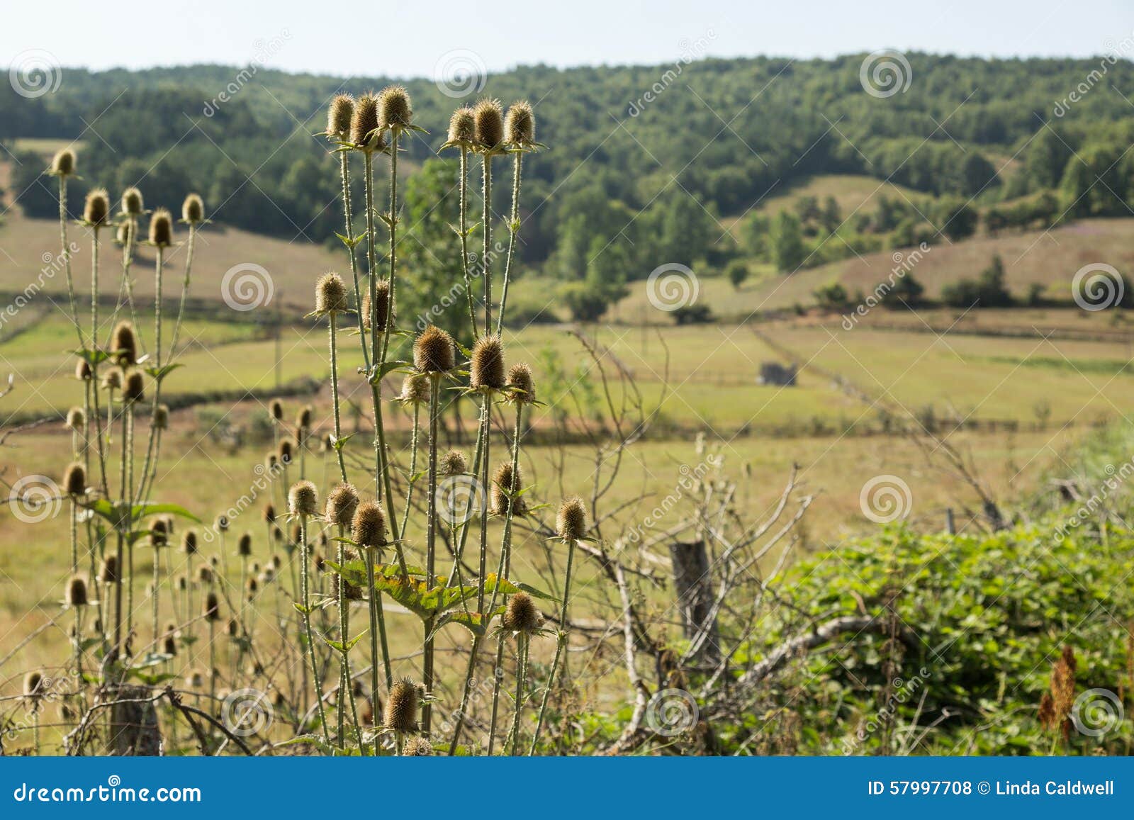 Turkish countryside stock photo. Image of view, turkish - 57997708