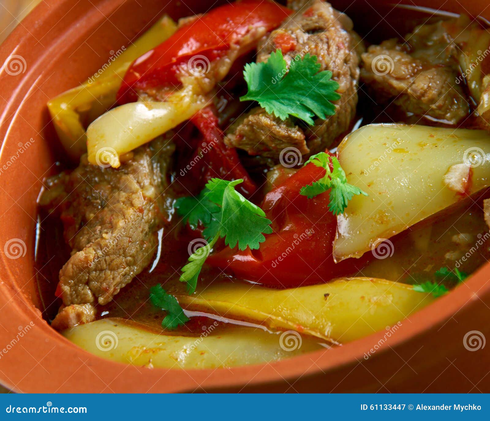 Turkish dish of lamb stock image. Image of parsley, closeup - 61133447