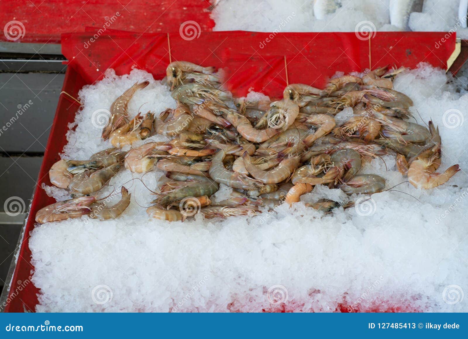Turkish Karides Shrimp with Ice Stock Image - Image of people ...