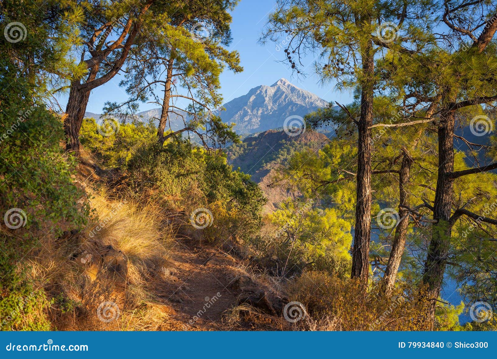 Turkish Landscape with Olympos Mountain, Beach Green Forest Stock Photo ...