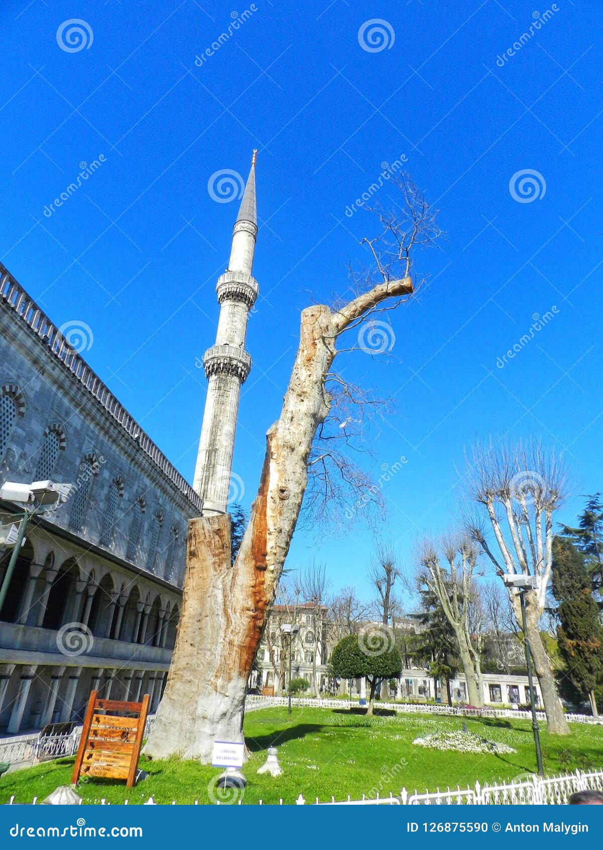 Turkish minaret stock photo. Image of minaret, architecture - 126875590