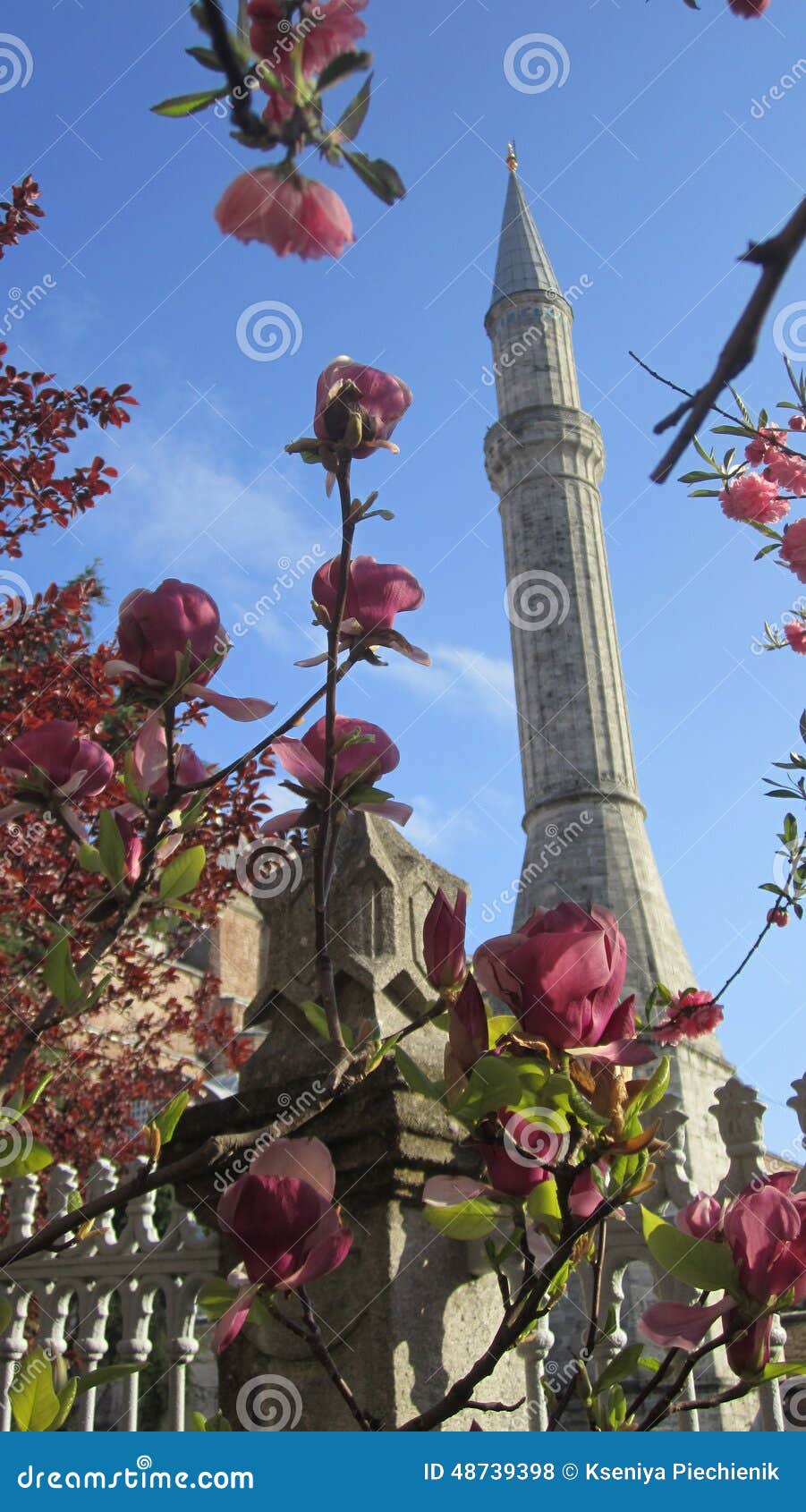 Turkish mosque stock photo. Image of turkish, place, islam - 48739398