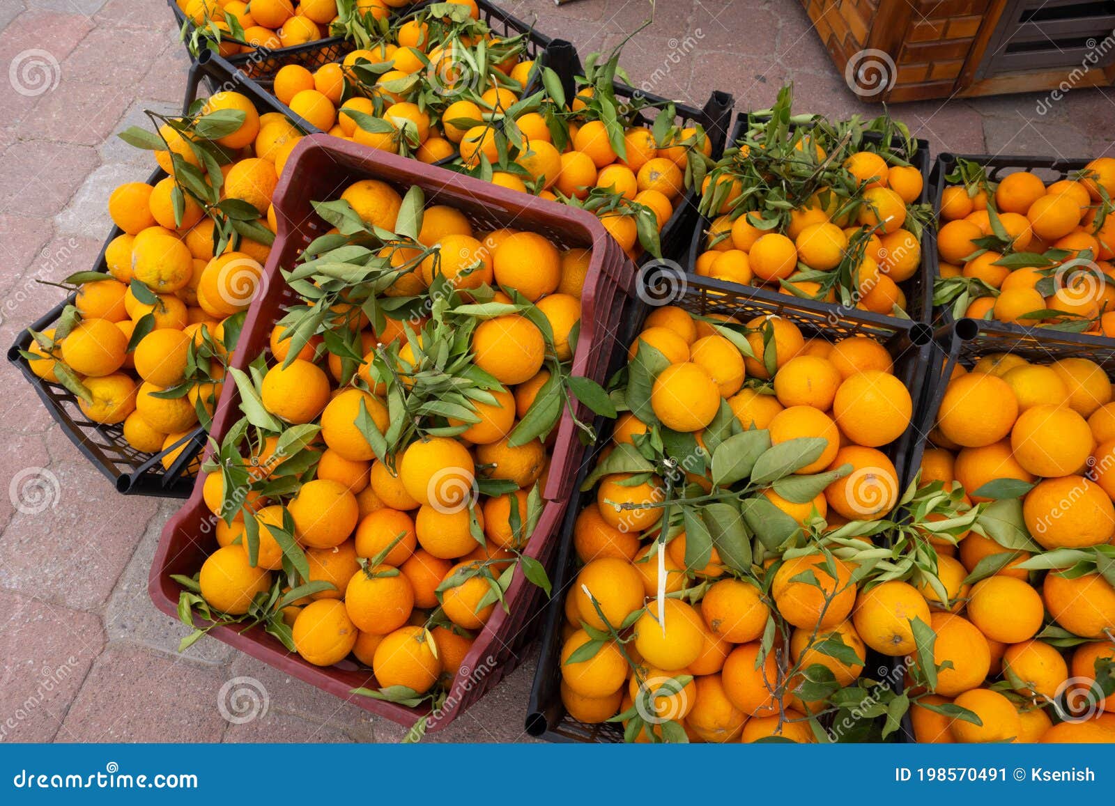 Turkish Oranges for Fresh Juice Stock Image - Image of colorful, fruit ...
