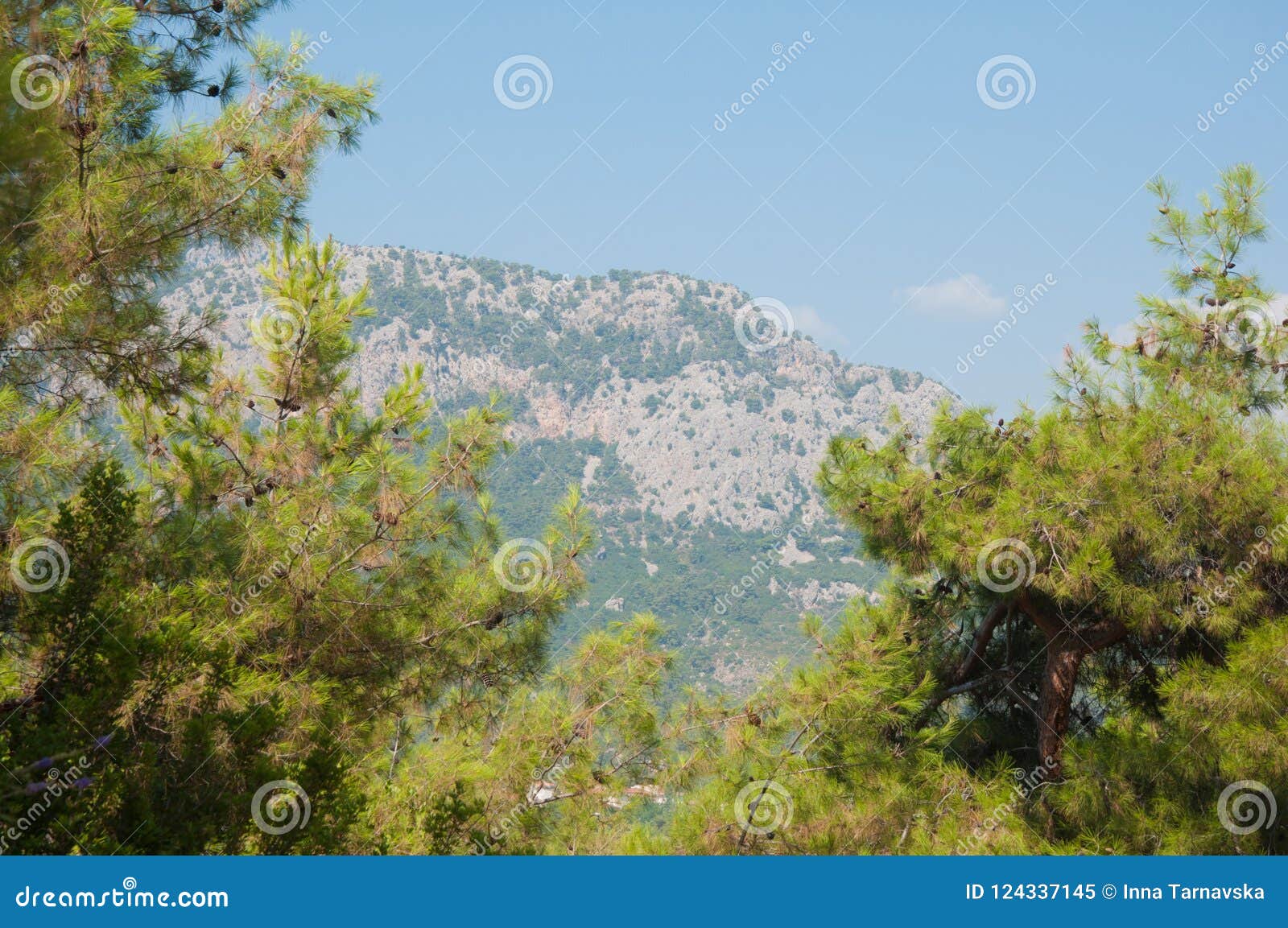 Turkish Taurus Mountains and Pine Tree Branches in Summer Stock Image ...