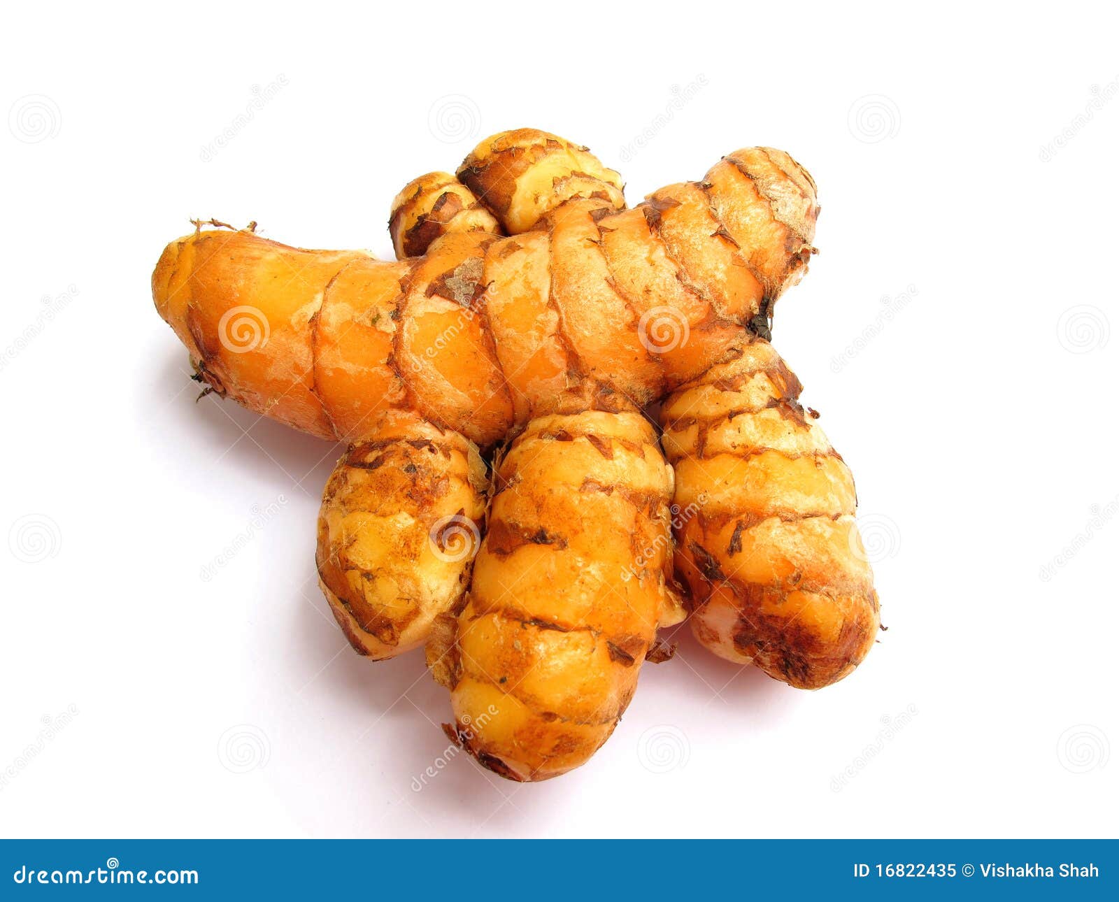 Turmeric stock image. Image of isolated, tuber, spices - 16822435