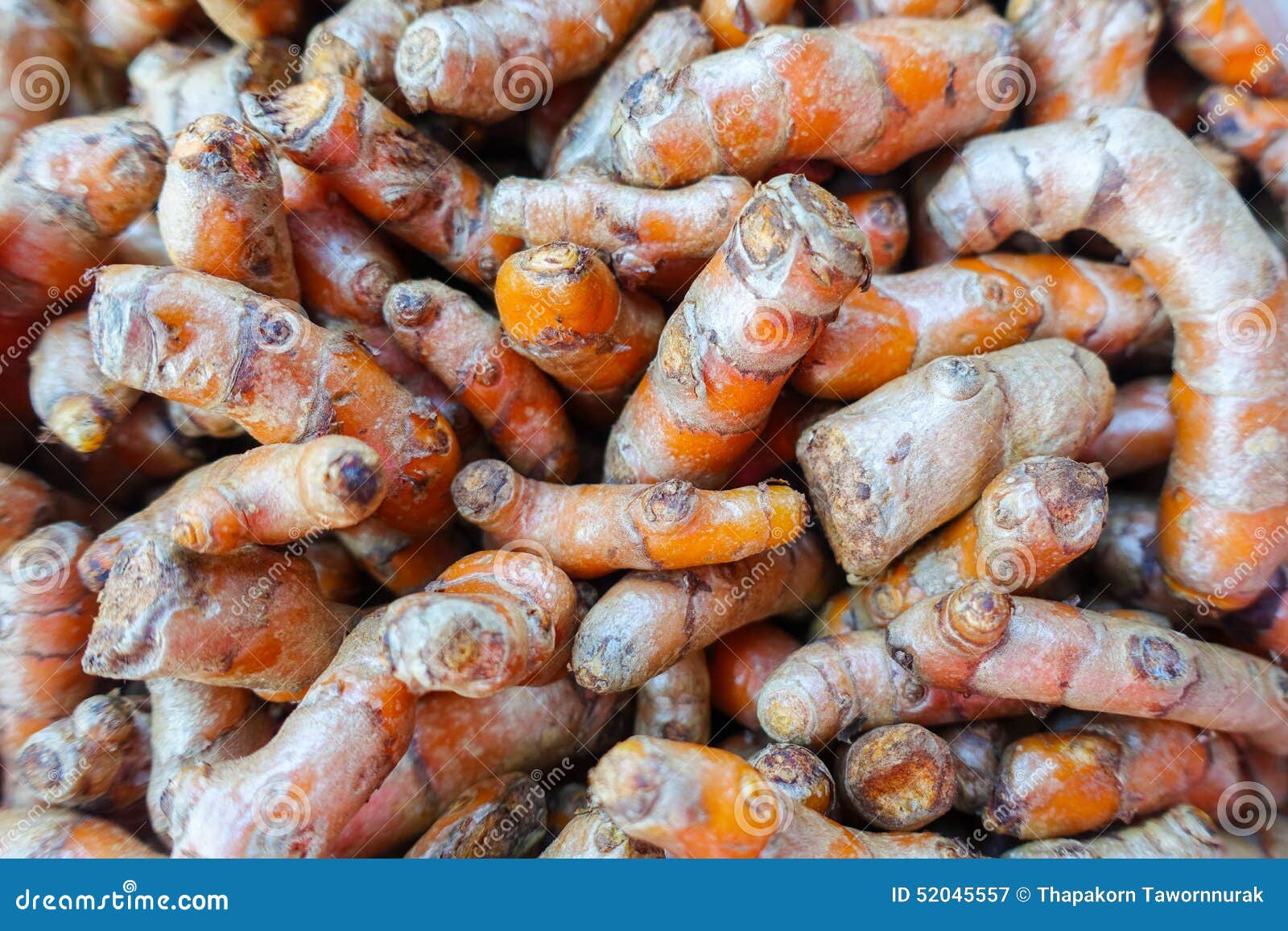 Turmeric, Curcuma at Market Stock Image - Image of color, curcuma: 52045557