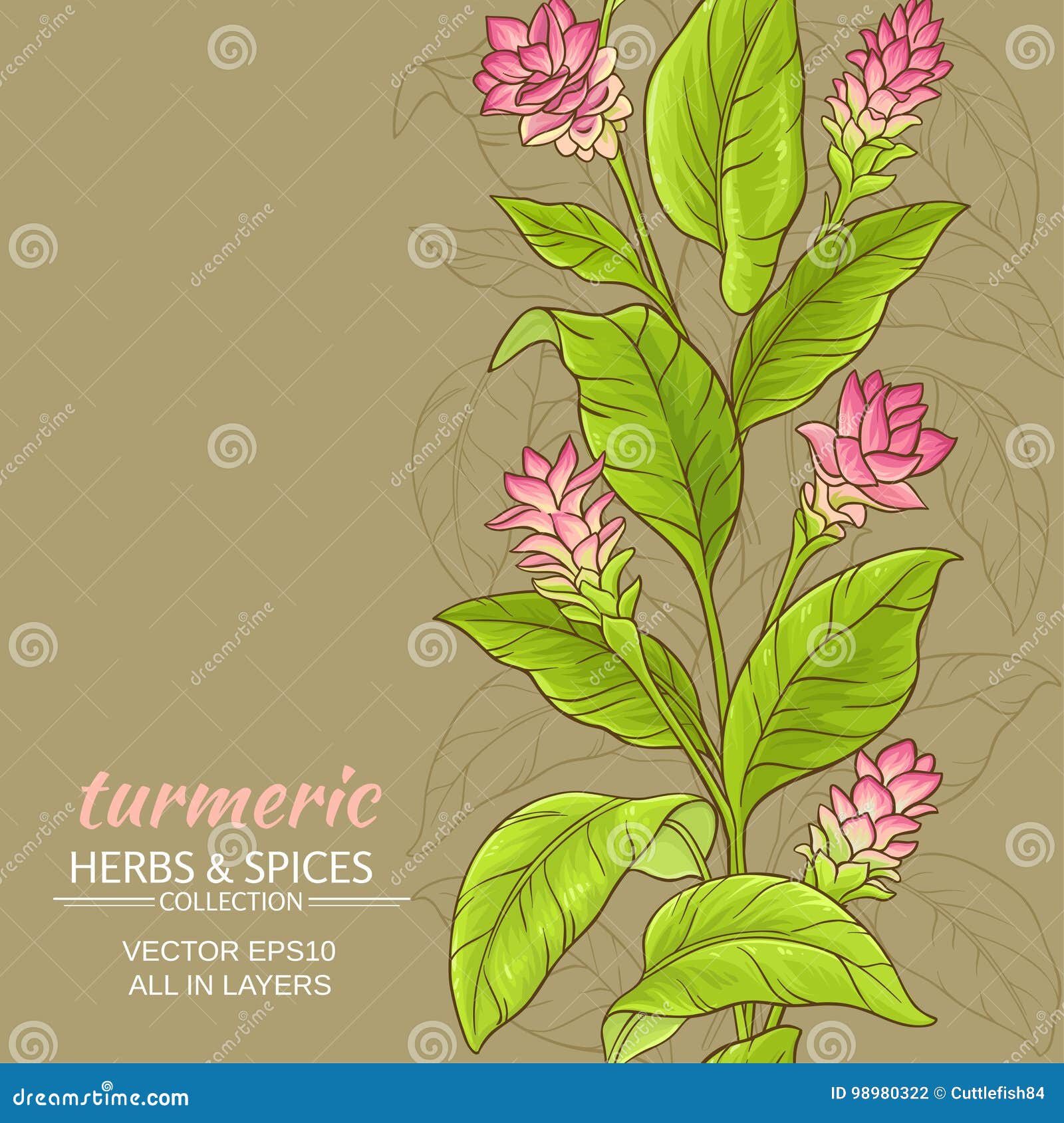 Turmeric flower background stock vector. Illustration of bloom - 98980322
