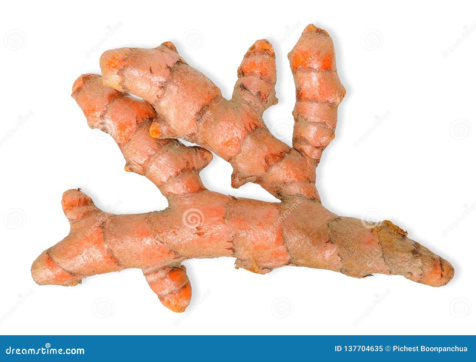 Turmeric Isolated on White Clipping Path Stock Image - Image of yellow ...