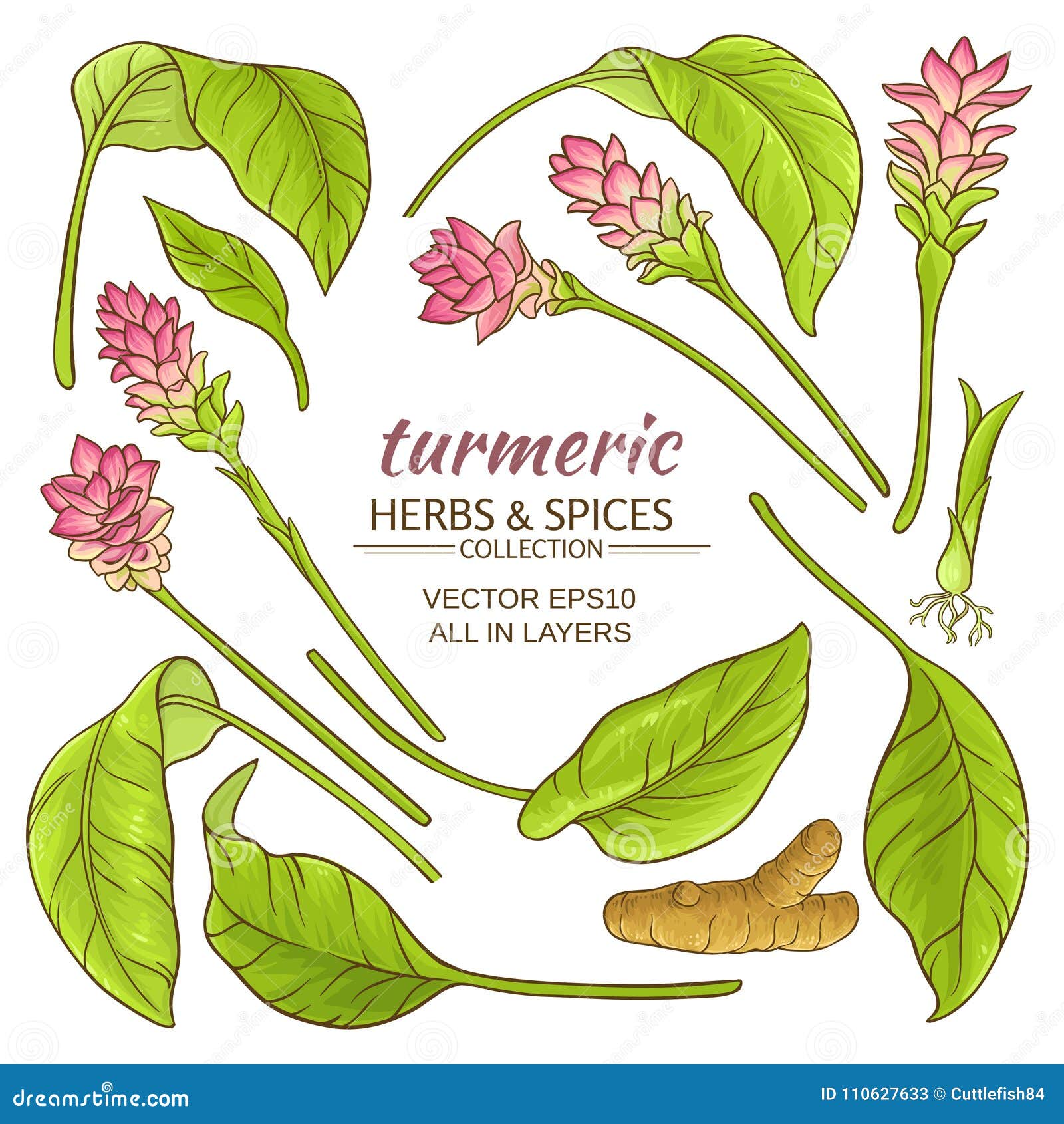 Turmeric Stock Illustrations – 1,418 Turmeric Stock Illustrations ...