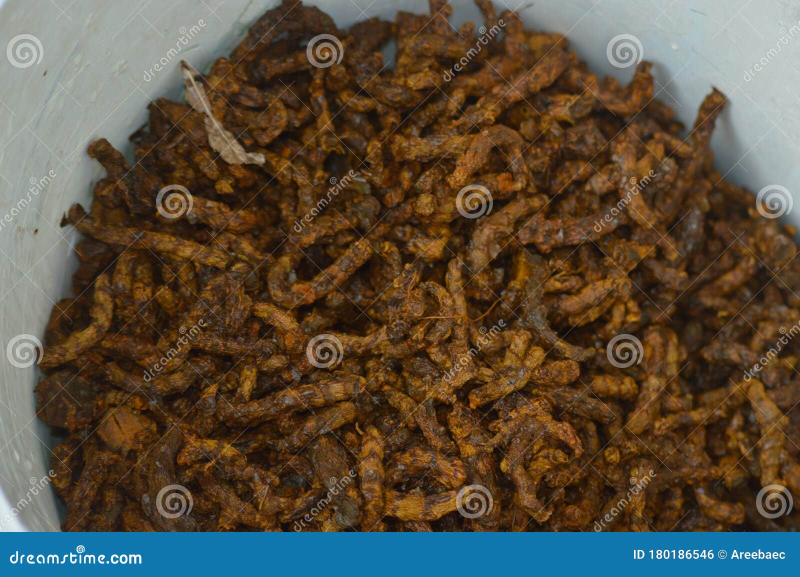Turmeric processing stock photo. Image of bunch, vegitable - 180186546