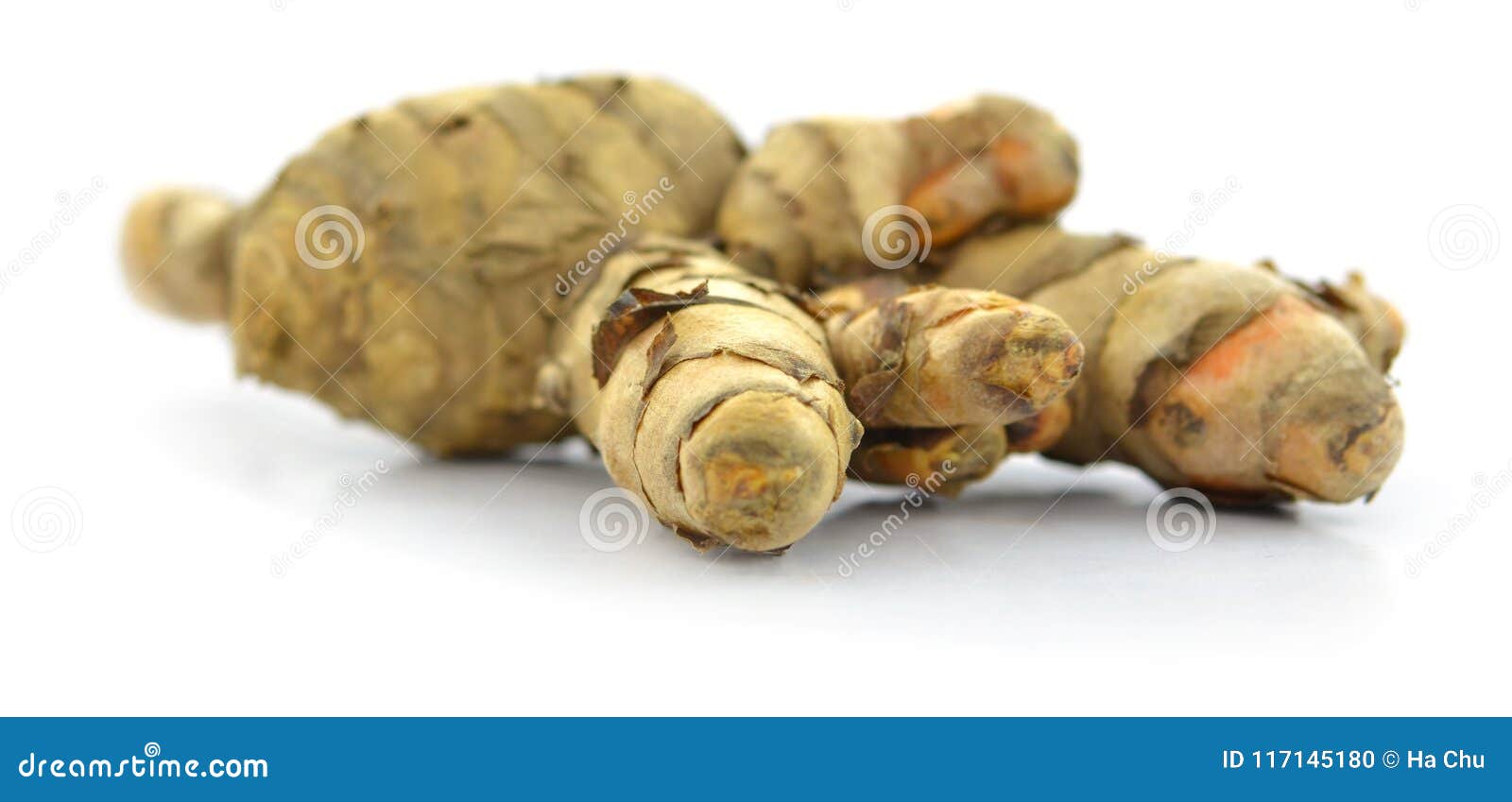Turmeric Root Isdated on White Background, Detail Stock Photo - Image ...
