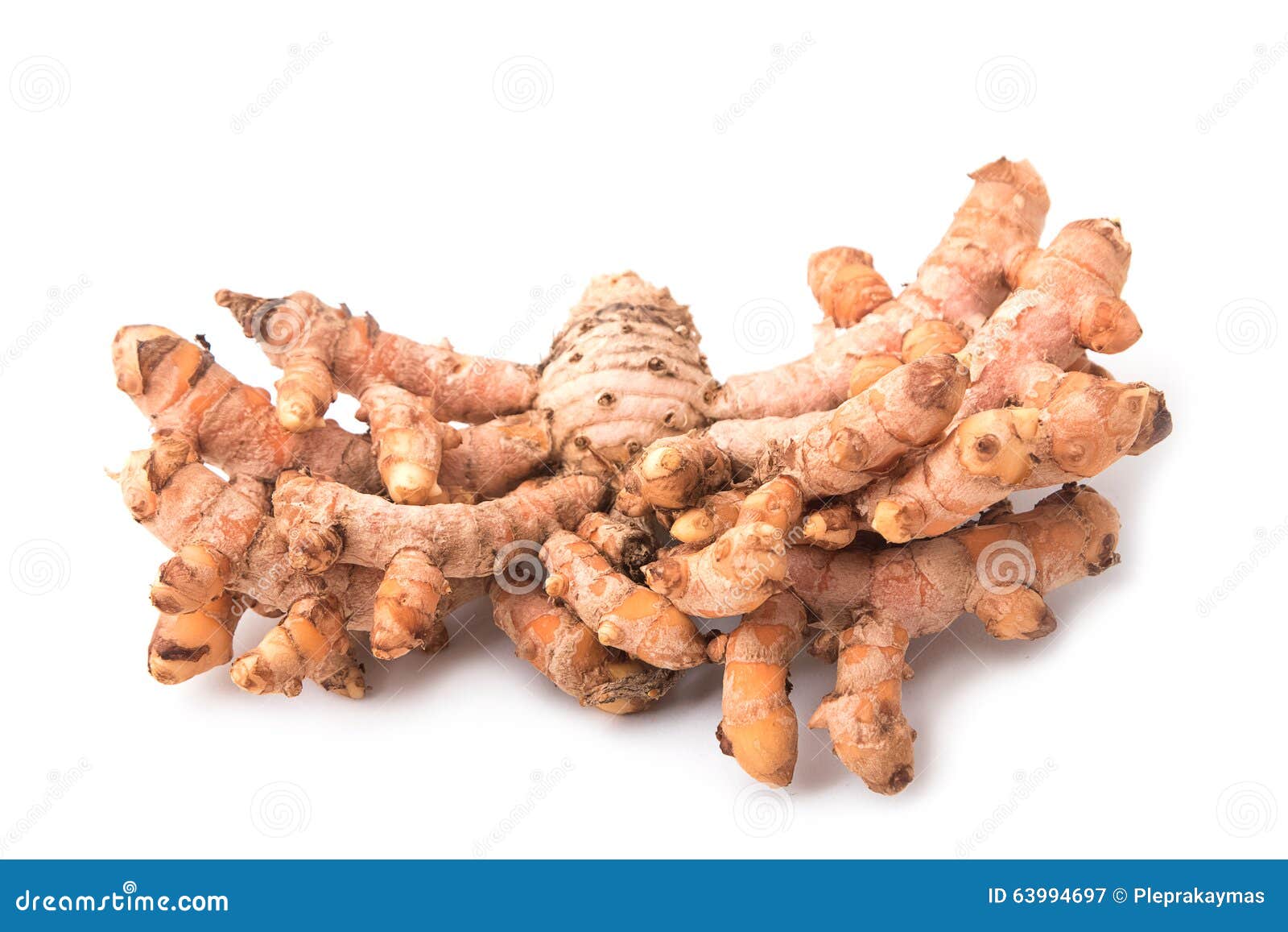Turmeric root stock image. Image of organic, auspicious - 63994697
