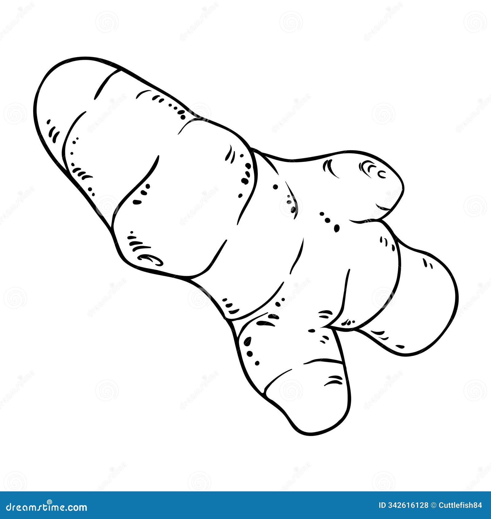 Turmeric Root Isolated Outline Illustration Stock Vector - Illustration ...
