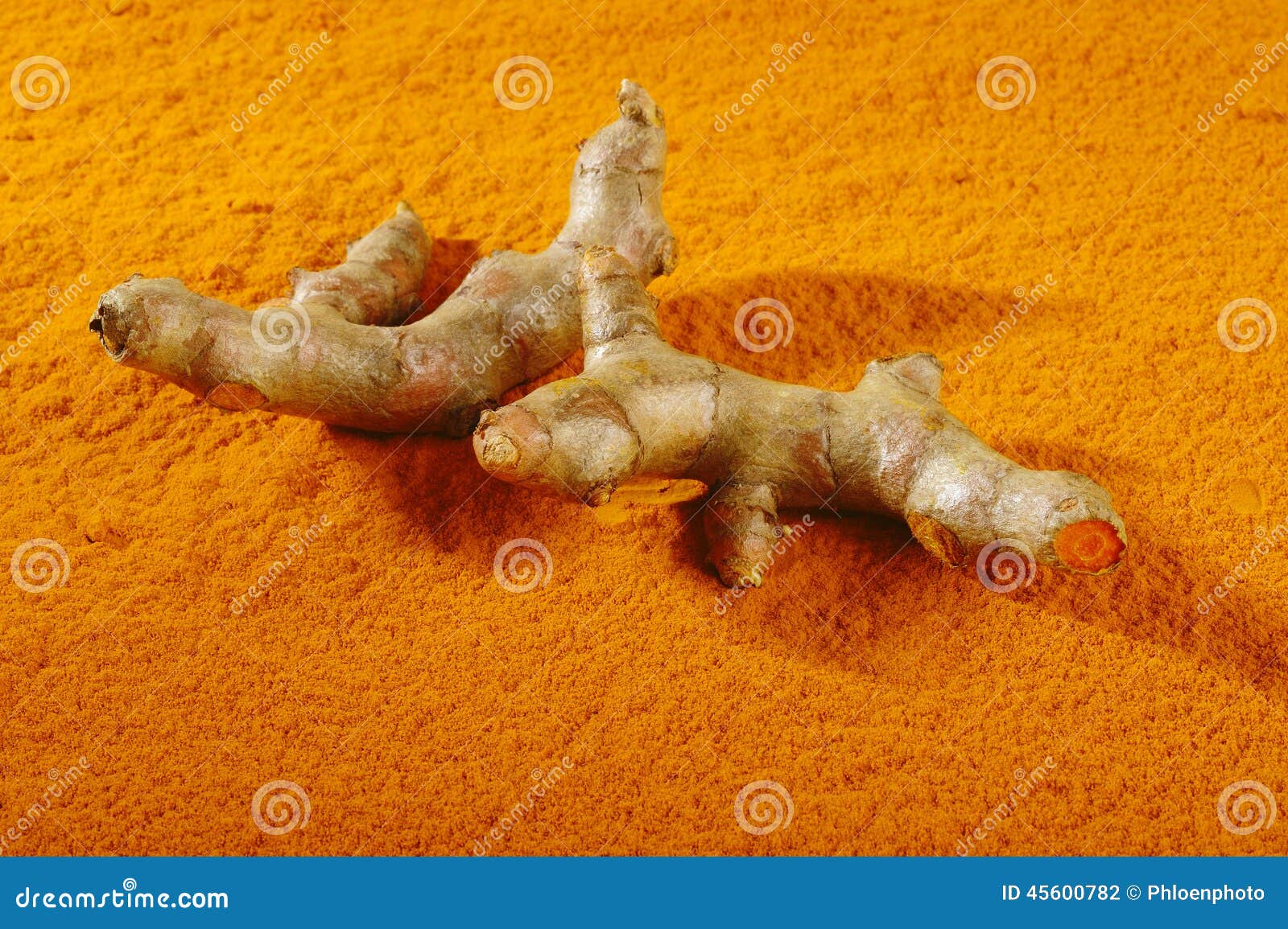Turmeric root and powder stock photo. Image of yellow - 45600782