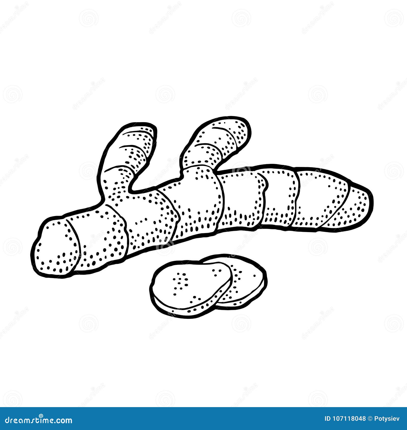 Turmeric Root with Slice. Vector Vintage Engraved Stock Vector ...