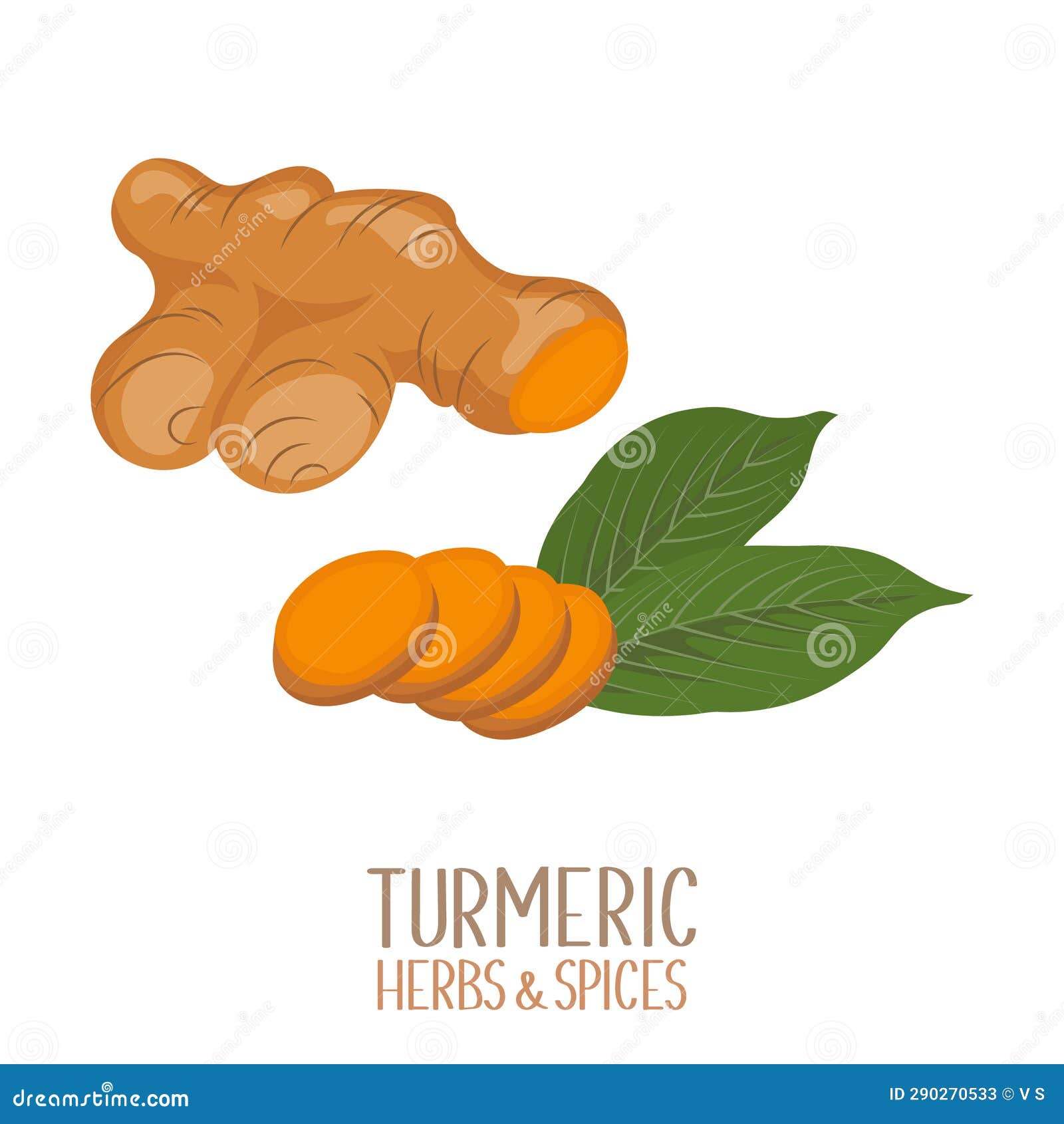 Turmeric Root and Turmeric Slices. Herbs and Spices. Curcumin Stock ...