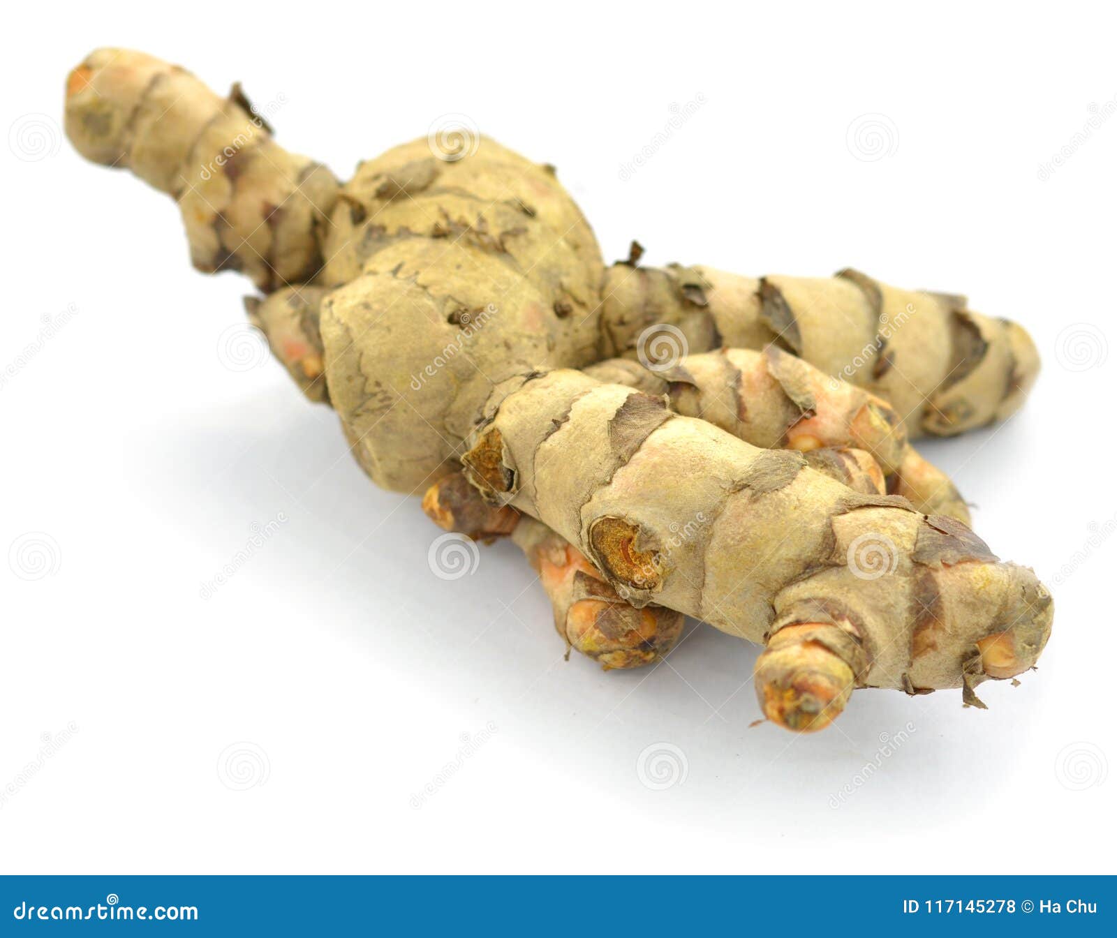 Turmeric Root on White Background Stock Photo - Image of gastronomy ...