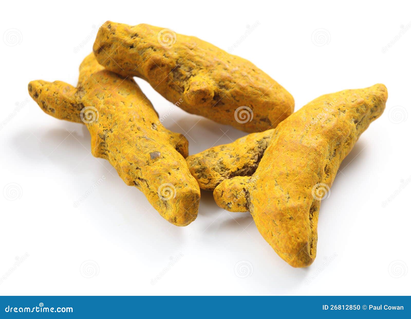 Turmeric roots stock photo. Image of curry, anticoagulant - 26812850