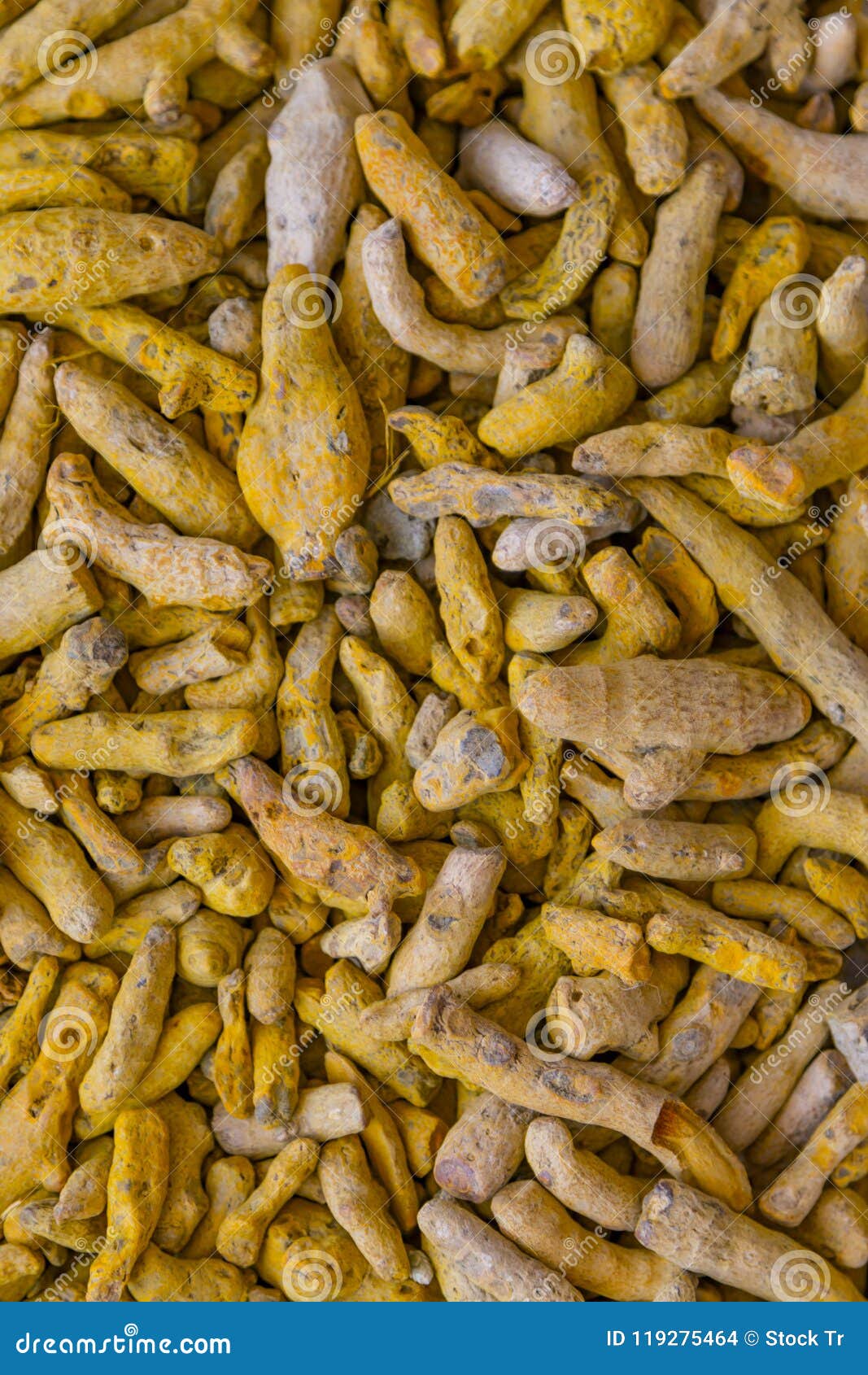 Turmeric stock photo. Image of canella, brown, cuisine - 119275464