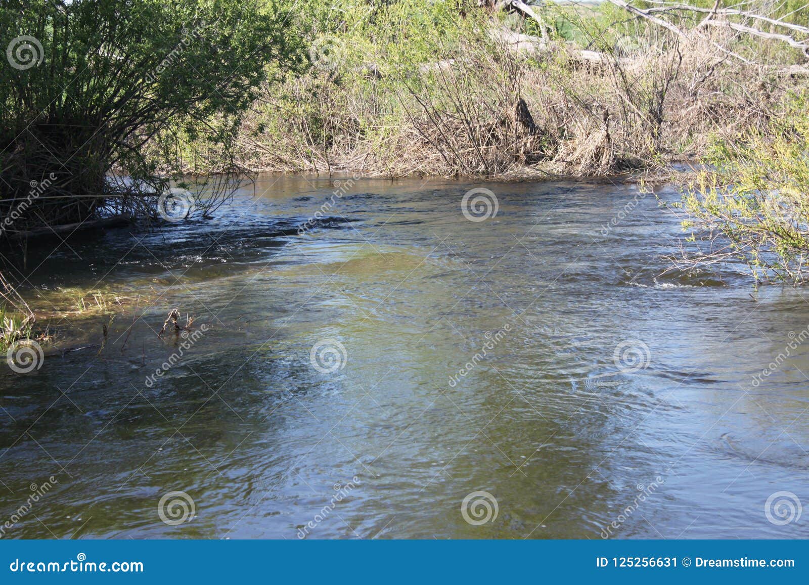 Turn and Acceleration of the River Flow Stock Image - Image of stream ...