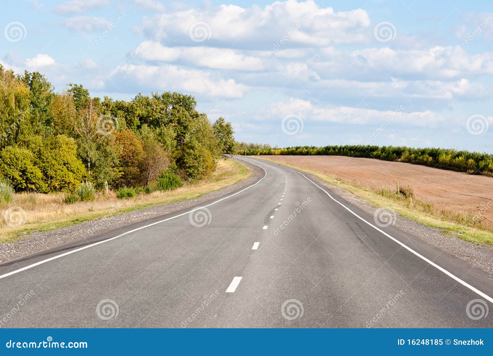 Turn on highway stock image. Image of clouds, turn, forest - 16248185